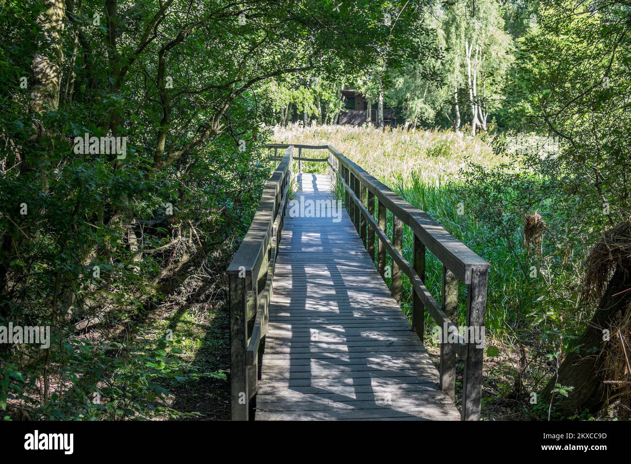 Fairburn Ings Country Park Stock Photo - Alamy