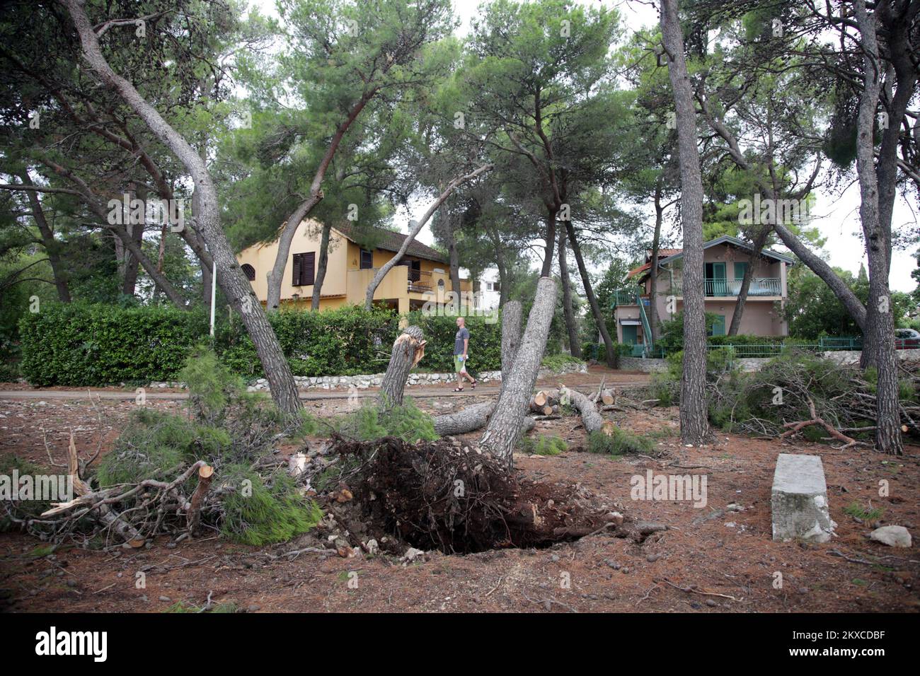 20.07.2019., Jadrija , Croatia - Damaged houses and ruined trees in ...