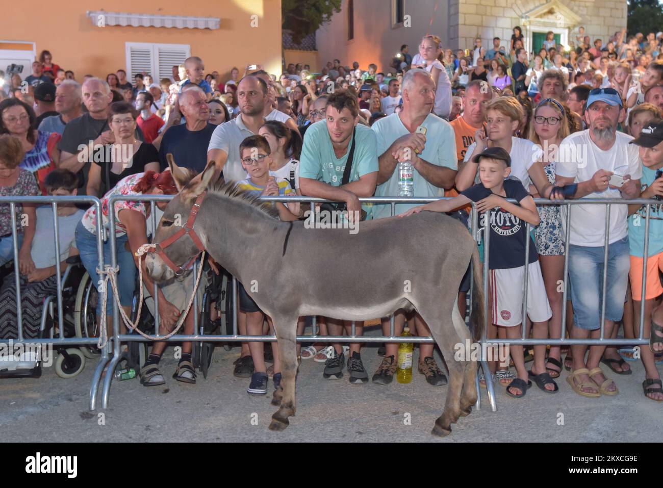 01.08.2019., Tribunj, Croatia - Traditional 52nd donkey races held in ...