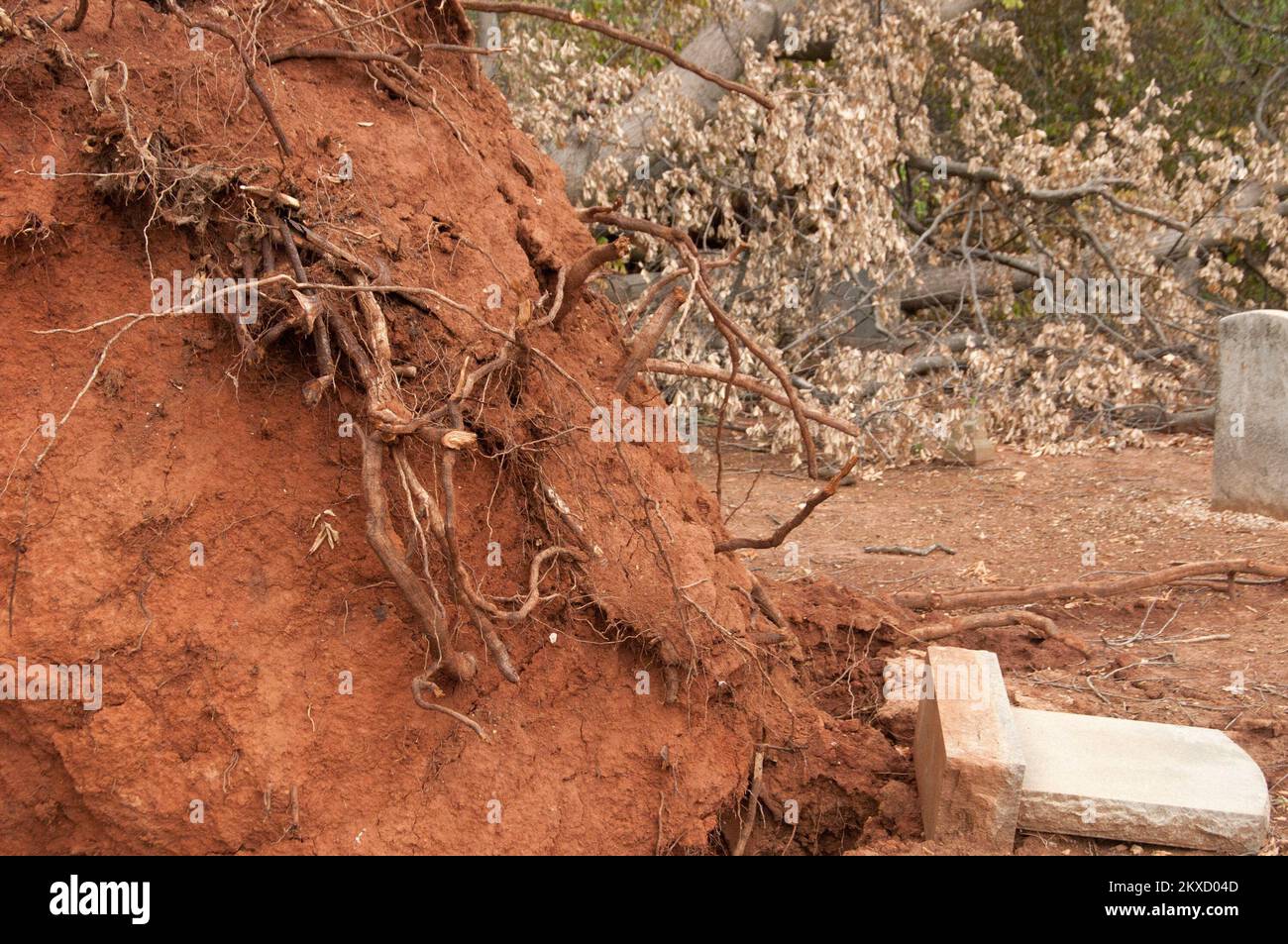 Tornado - Birmingham, Ala. , May 15, 2011 A grave site lies disturbed ...