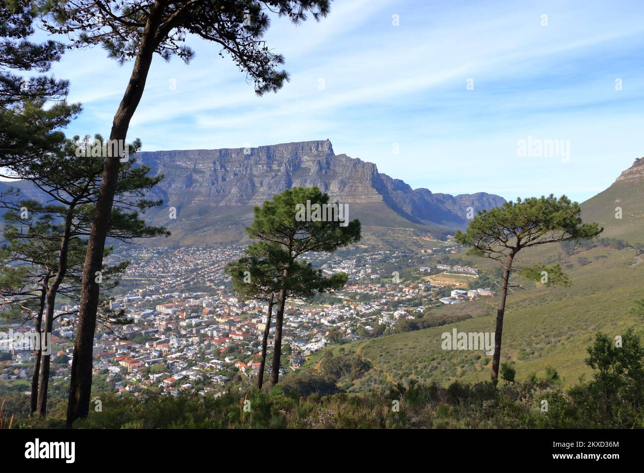 view to the Cape Town City captured from the side of signal hill in ...