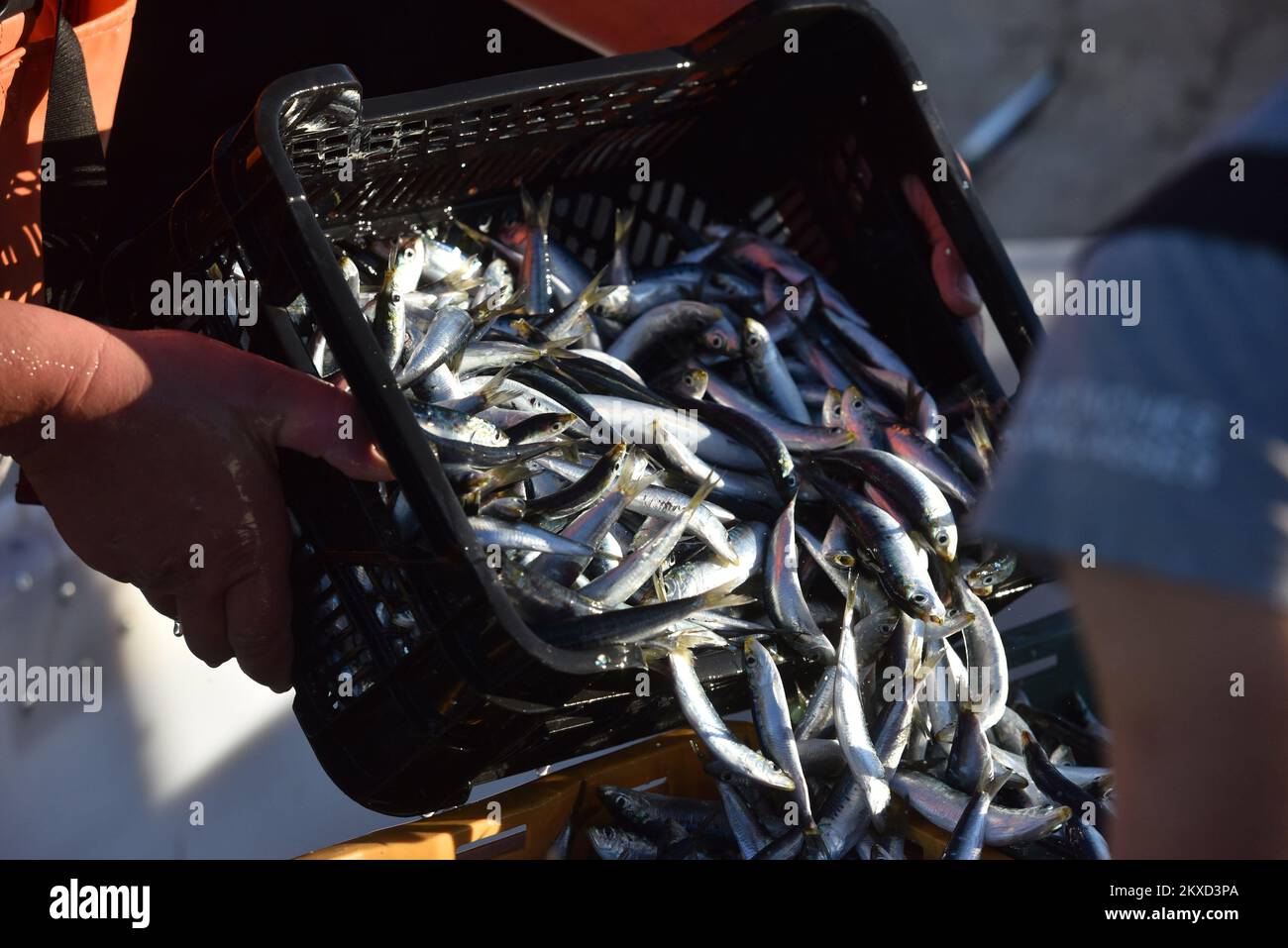 27.09.2019., Tribunj, Croatia - After a full moon and bad weather ...