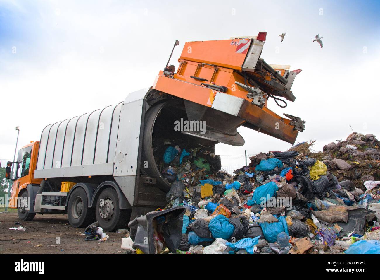 landfill pollutes the environment. garbage truck. birds fly over ...