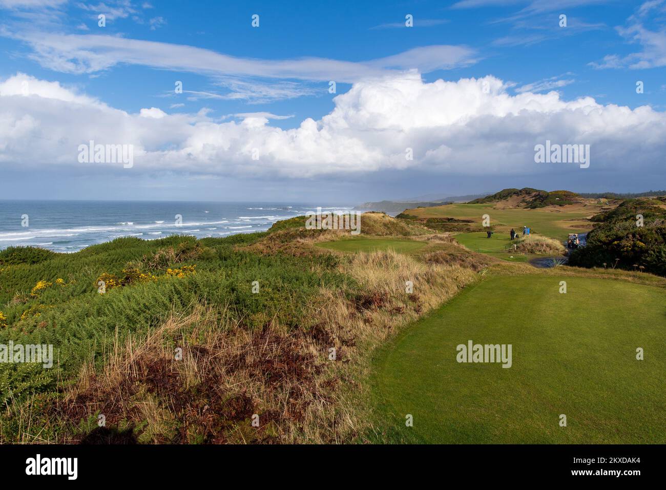 Bandon Dunes Golf Resort in Southern Oregon Stock Photo - Alamy