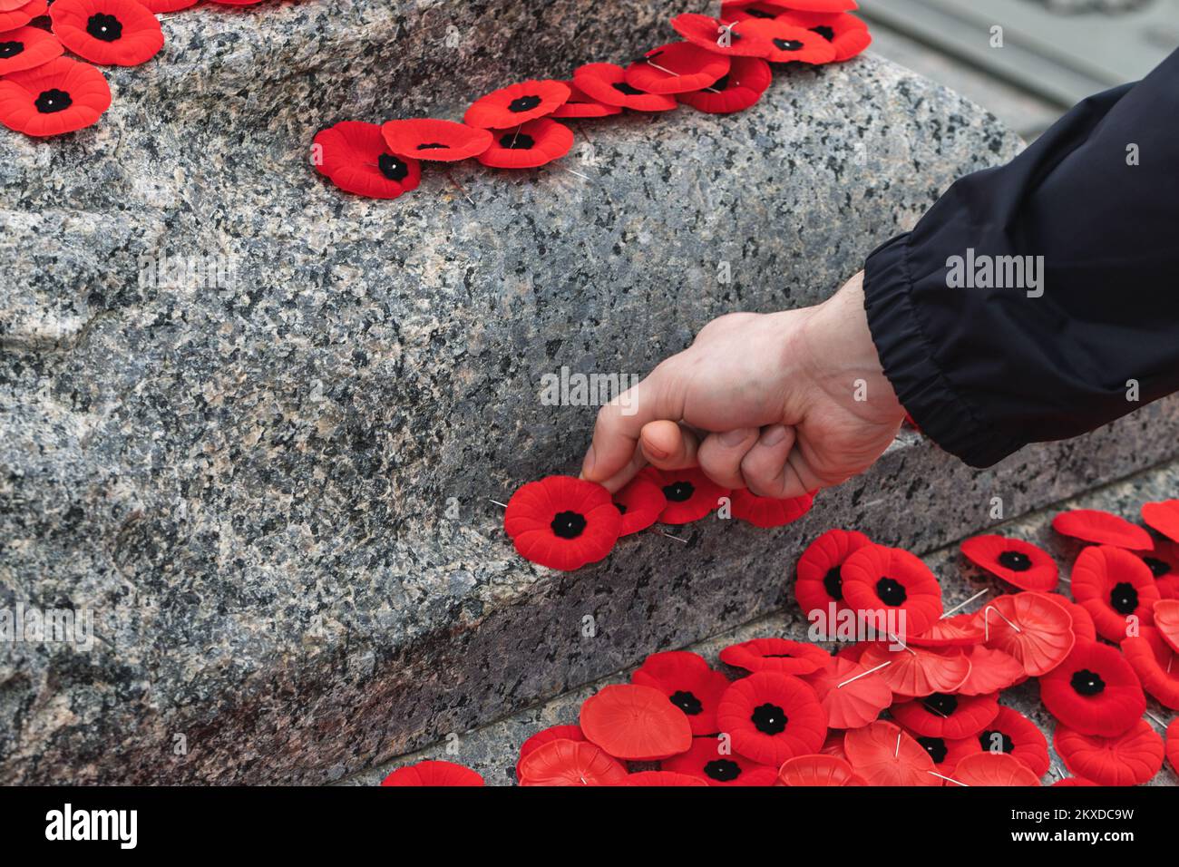 People put poppy flowers on Tomb of the Unknown Soldier in Ottawa ...