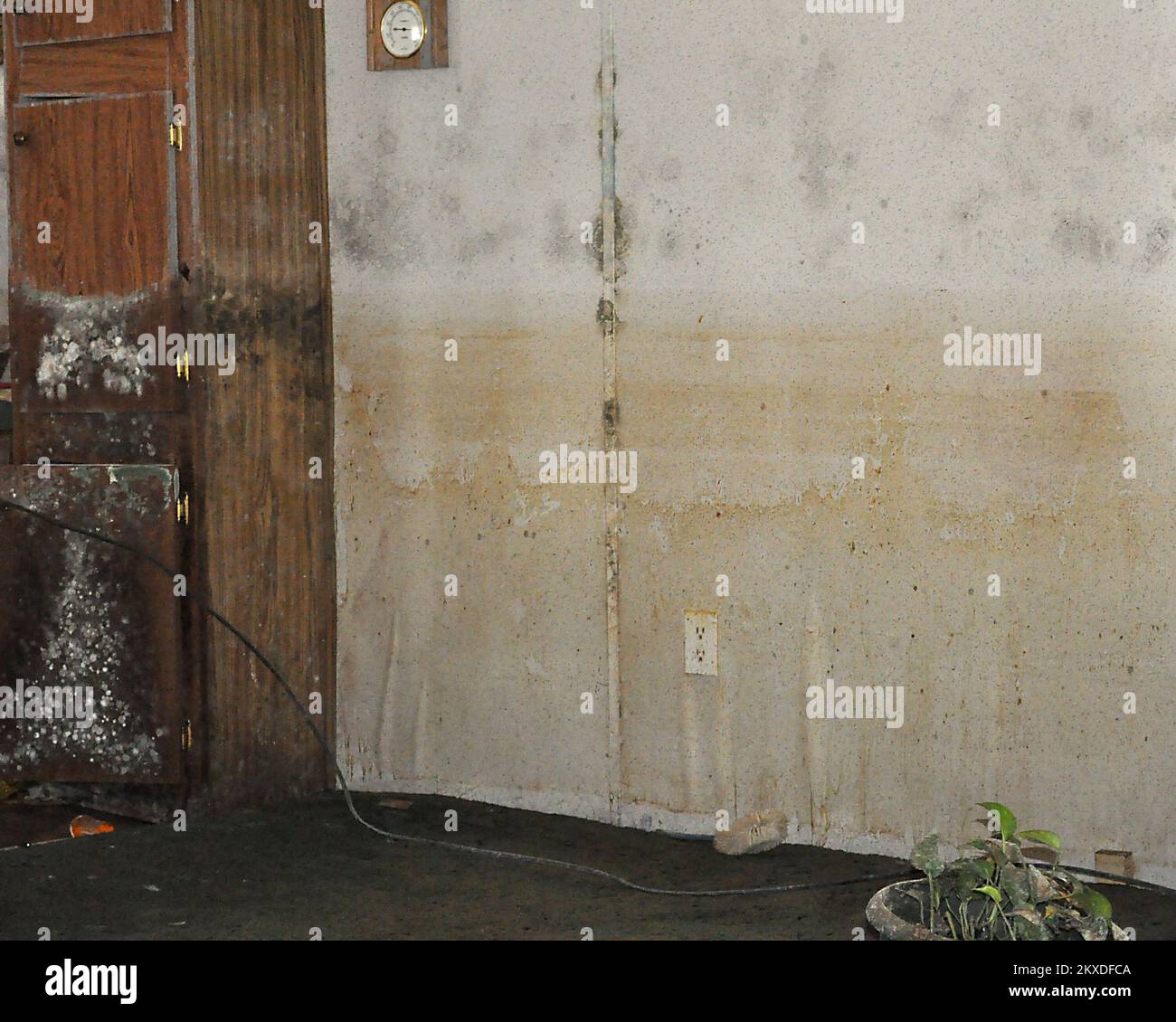 Mold Everywhere. Tennessee Severe Storms, Tornadoes, Straight-line ...