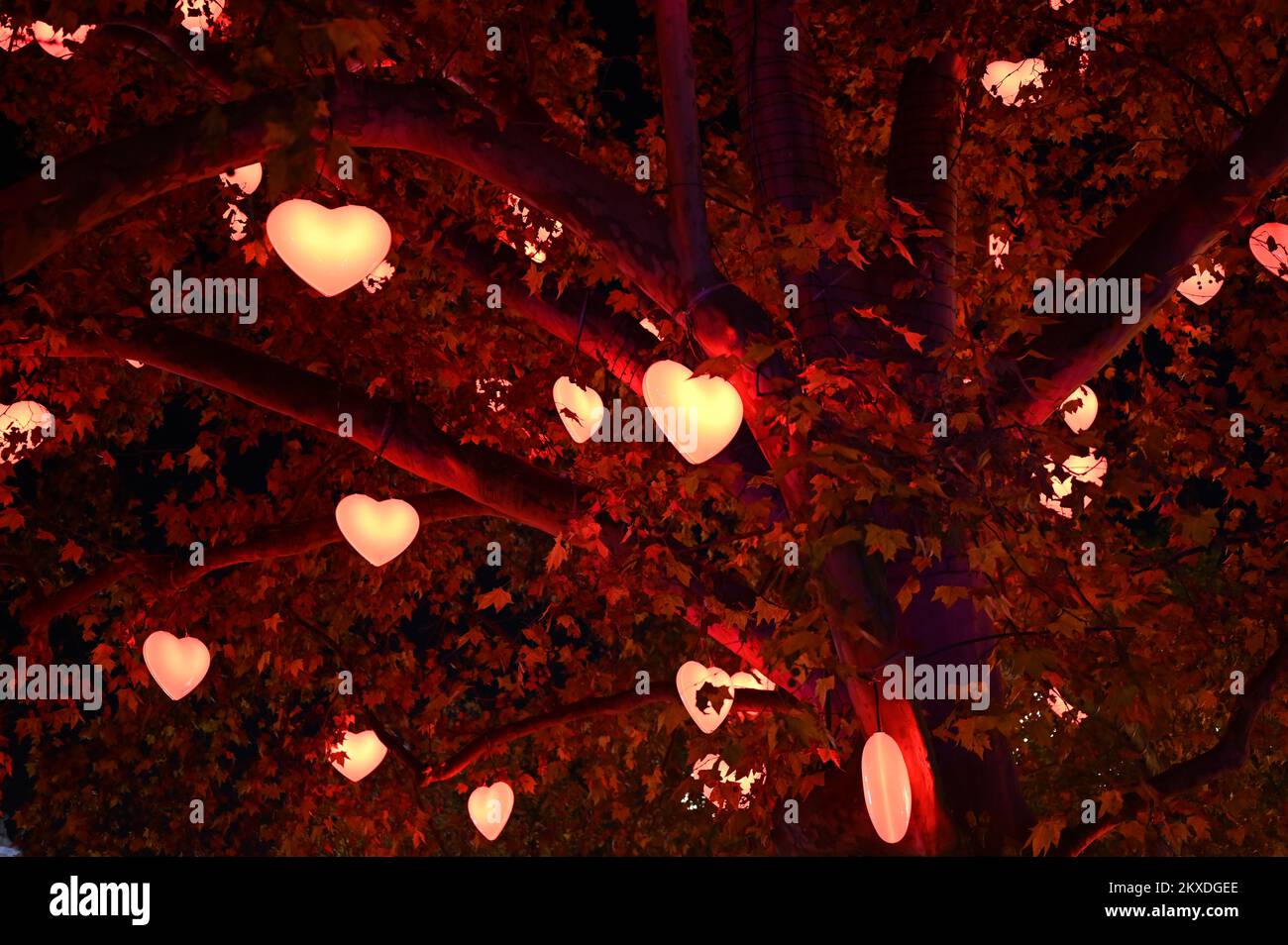 Austrian christmas xmas markets hi-res stock photography and images - Alamy