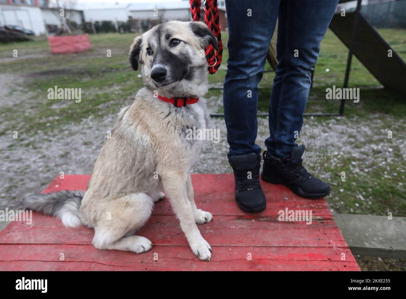 19.12.2019., Croatia, Zagreb - Former Royal Marines commando and ...