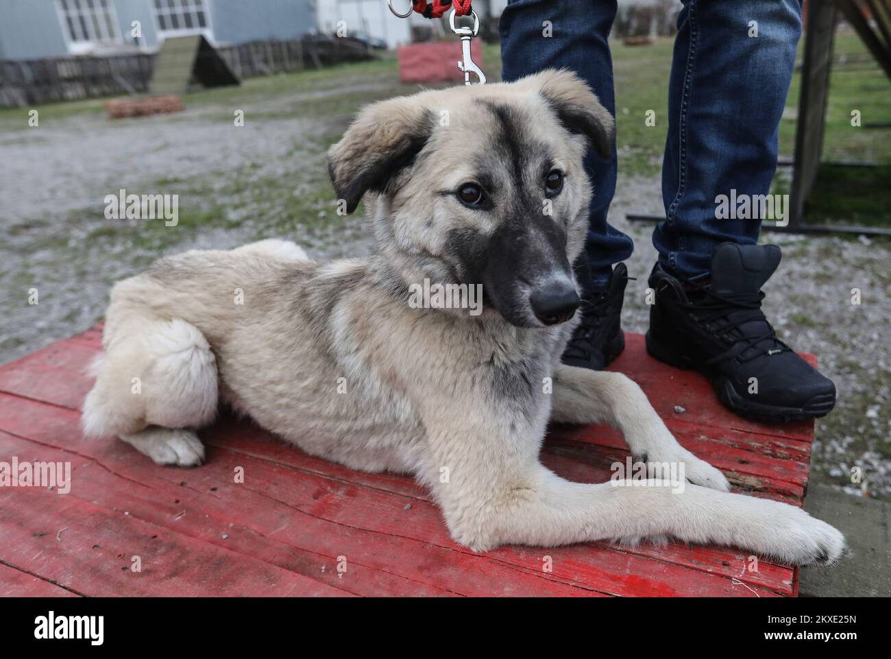 Pen farthing hi-res stock photography and images - Alamy