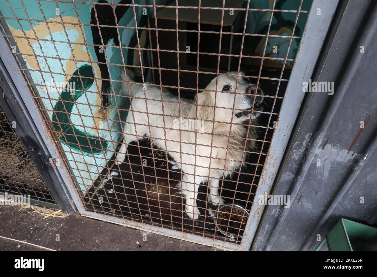 19.12.2019., Croatia, Zagreb - Former Royal Marines commando and ...