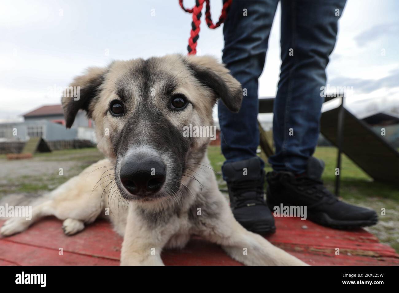 19.12.2019., Croatia, Zagreb - Former Royal Marines commando and ...