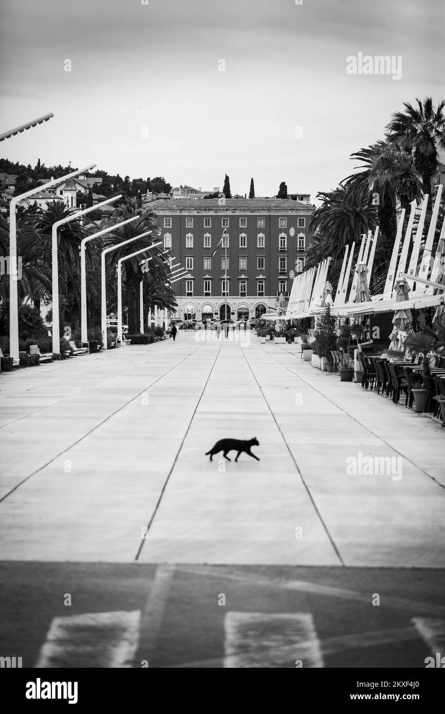 31.03.2020., Croatia, Split - Morning in Split brought rain that ...