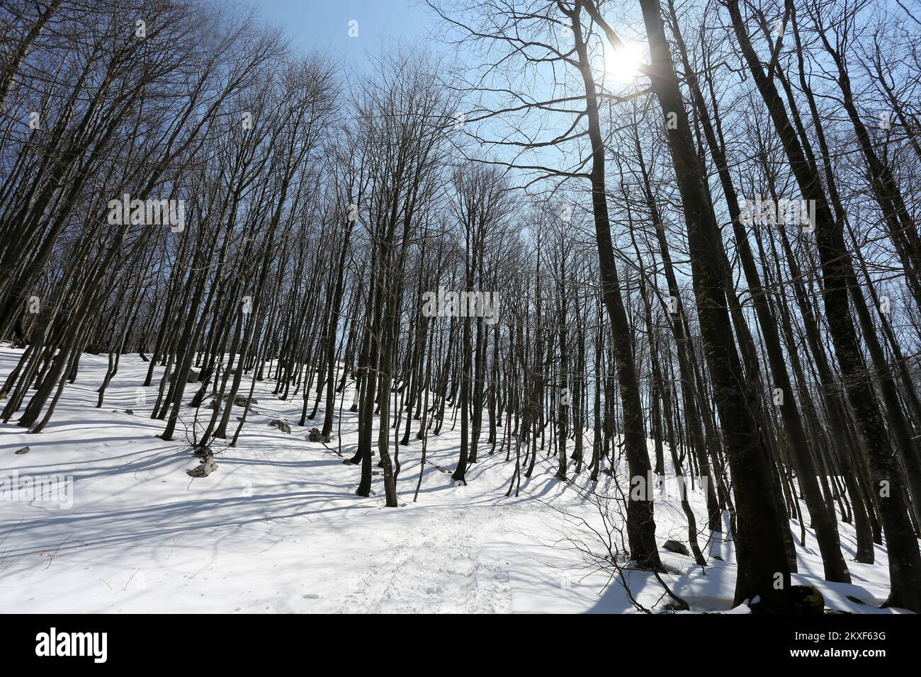 03.04.2020., Rijeka, Croatia - Snjeznik Mountain in Risnjak National ...