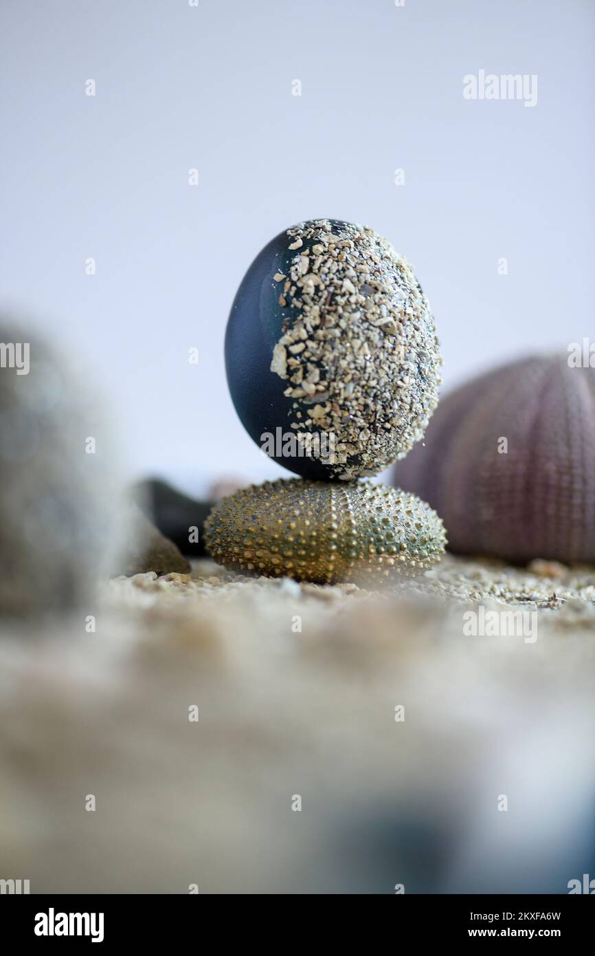 Easter eggs decorated with seashells and sand Stock Photo - Alamy