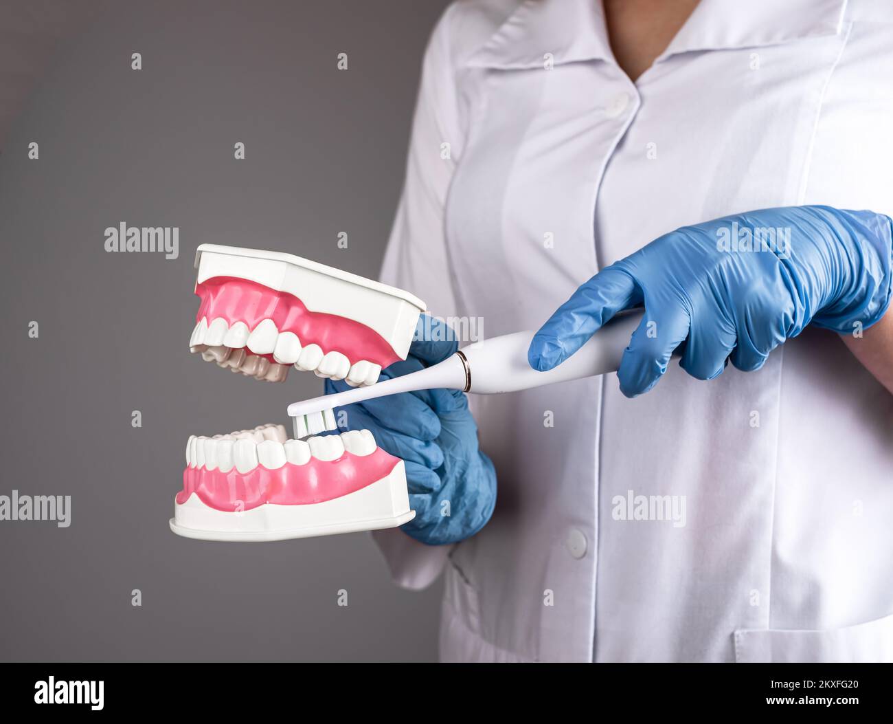 Brushing teeth jaw fake model with electric toothbrush. Dental oral ...