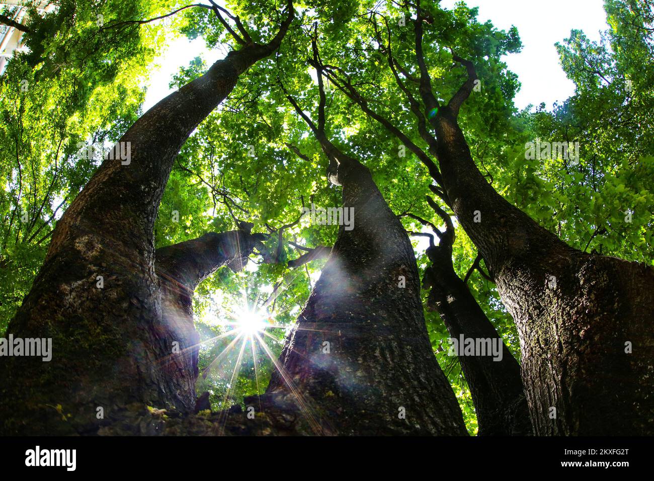 22.04.2020., Zagreb, Croatia - On April 22, Earth Day marks the ...