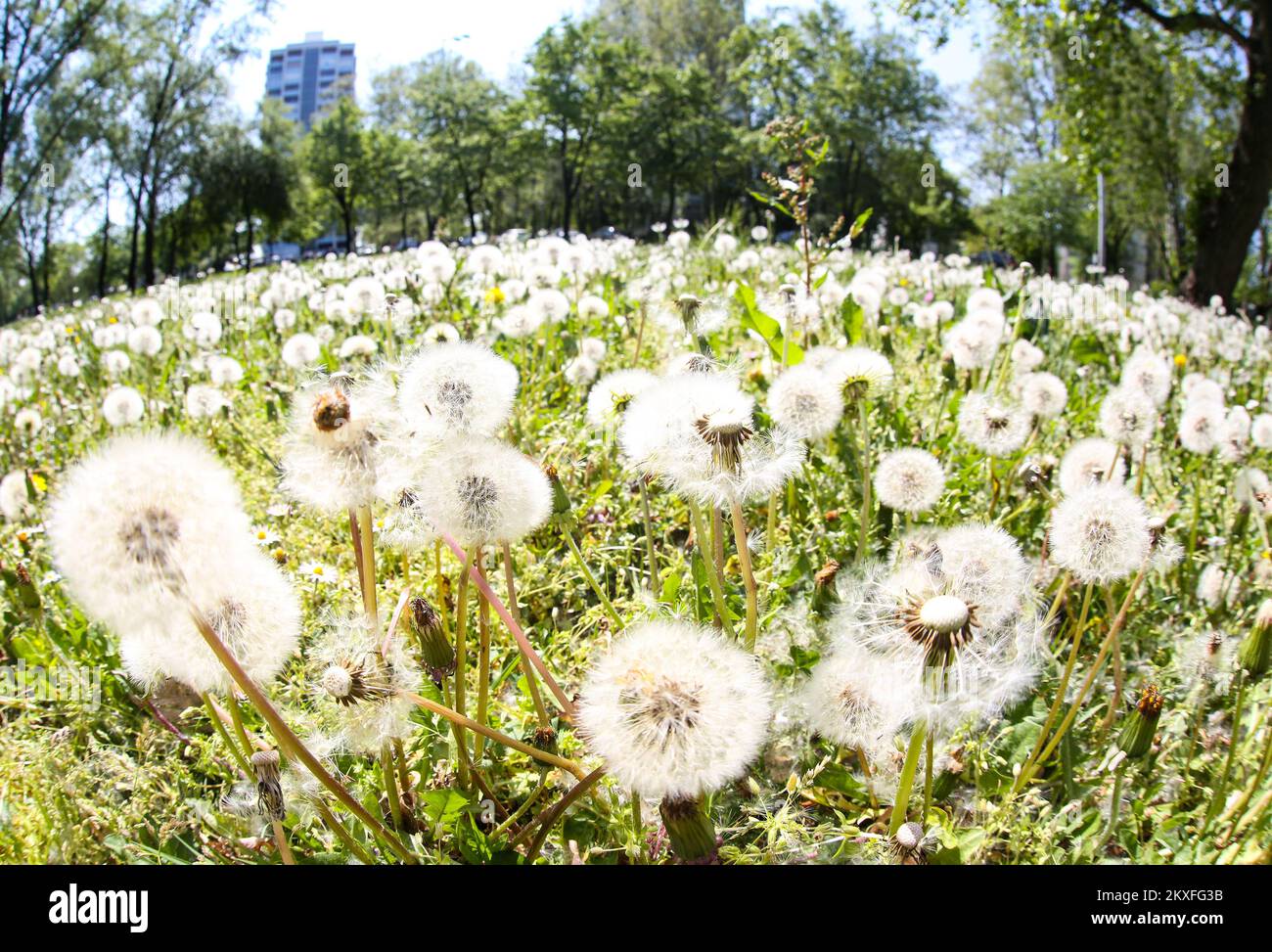 22.04.2020., Zagreb, Croatia - On April 22, Earth Day marks the ...