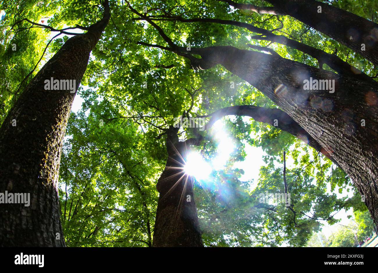 22.04.2020., Zagreb, Croatia - On April 22, Earth Day marks the ...