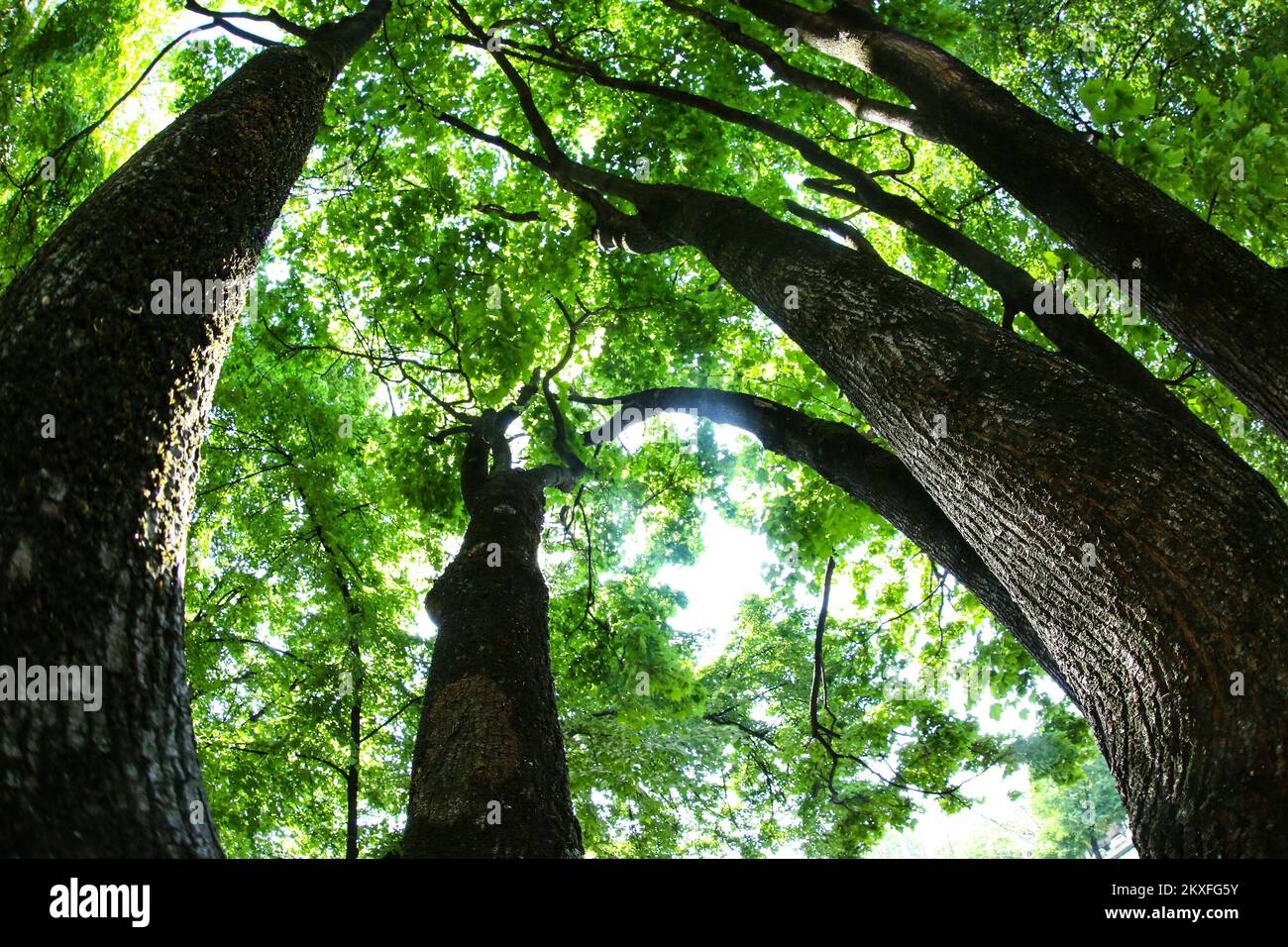 22.04.2020., Zagreb, Croatia - On April 22, Earth Day marks the ...