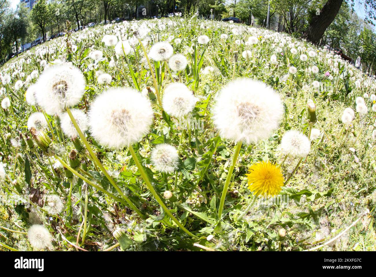 22.04.2020., Zagreb, Croatia - On April 22, Earth Day marks the ...