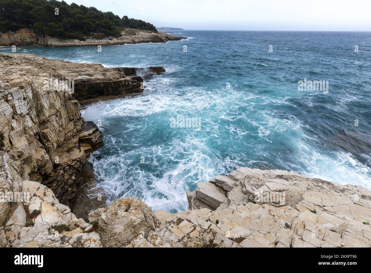 Muzil hi-res stock photography and images - Alamy