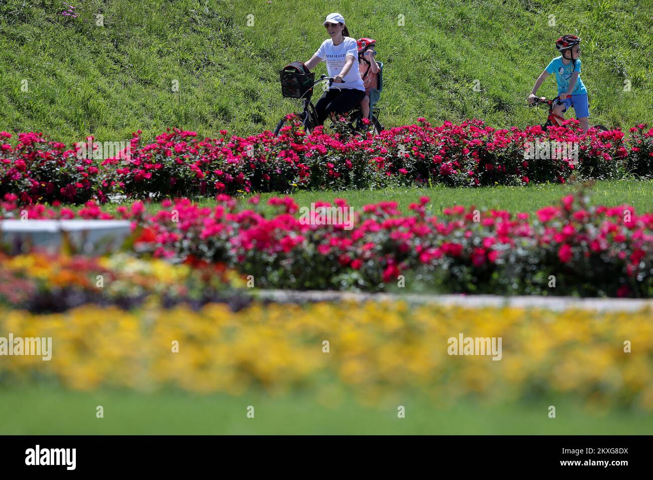 07.06.2020., Zagreb, Croatia - Spring flowers in front of Zagreb ...