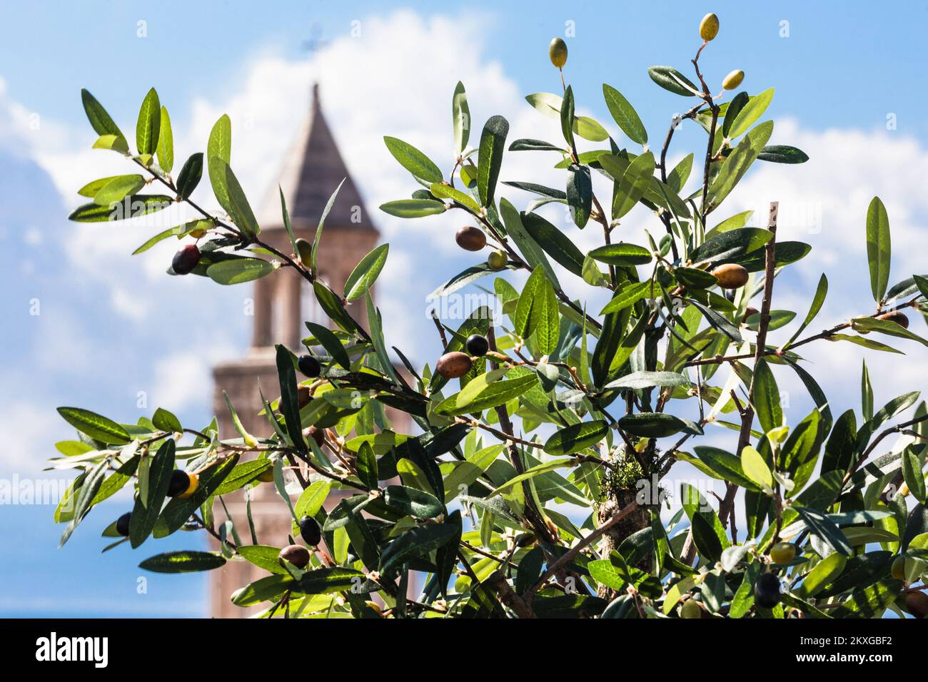 18.06.2020., Split - The bell tower of the Cathedral of St. Duje. Photo ...