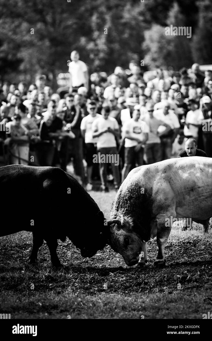 First bullfighting Black and White Stock Photos & Images - Alamy
