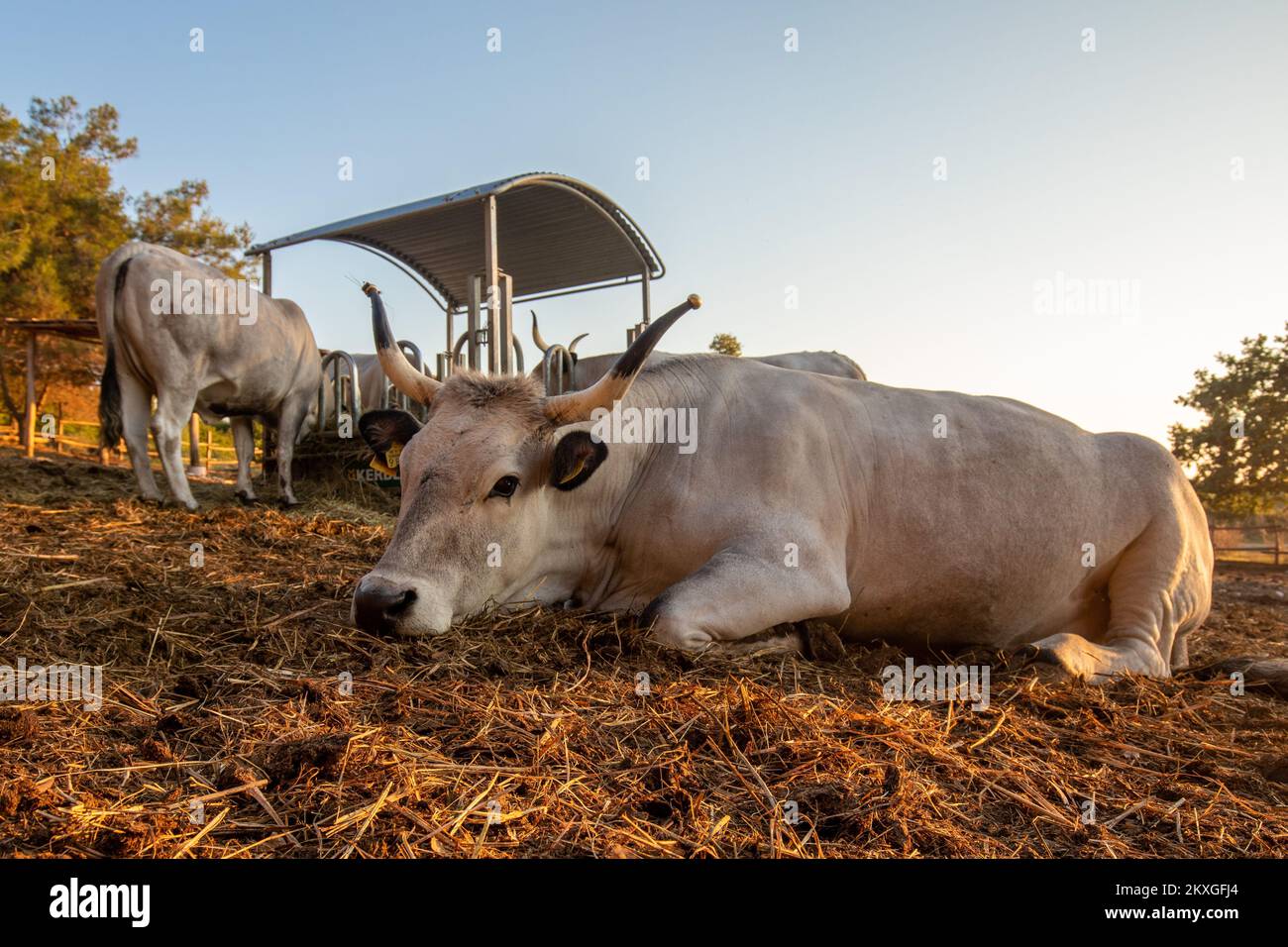 Kamenjak nature park hi-res stock photography and images - Alamy