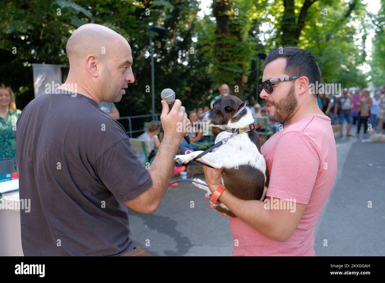 Mixed-breed dogs can be seen at the traditional mixed-breed dog show as ...