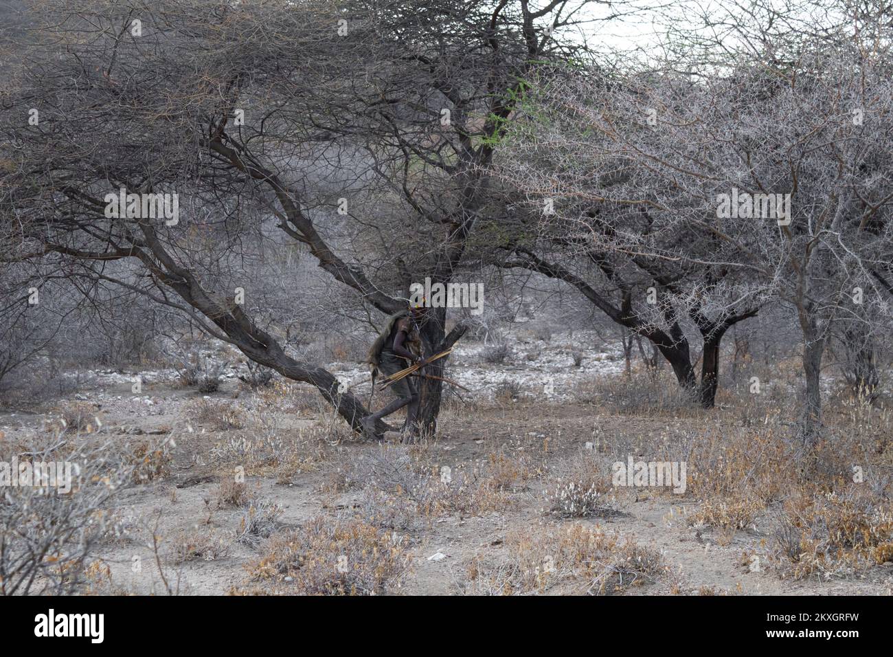 Hunter gatherer hadza tribe hunting hi-res stock photography and images ...