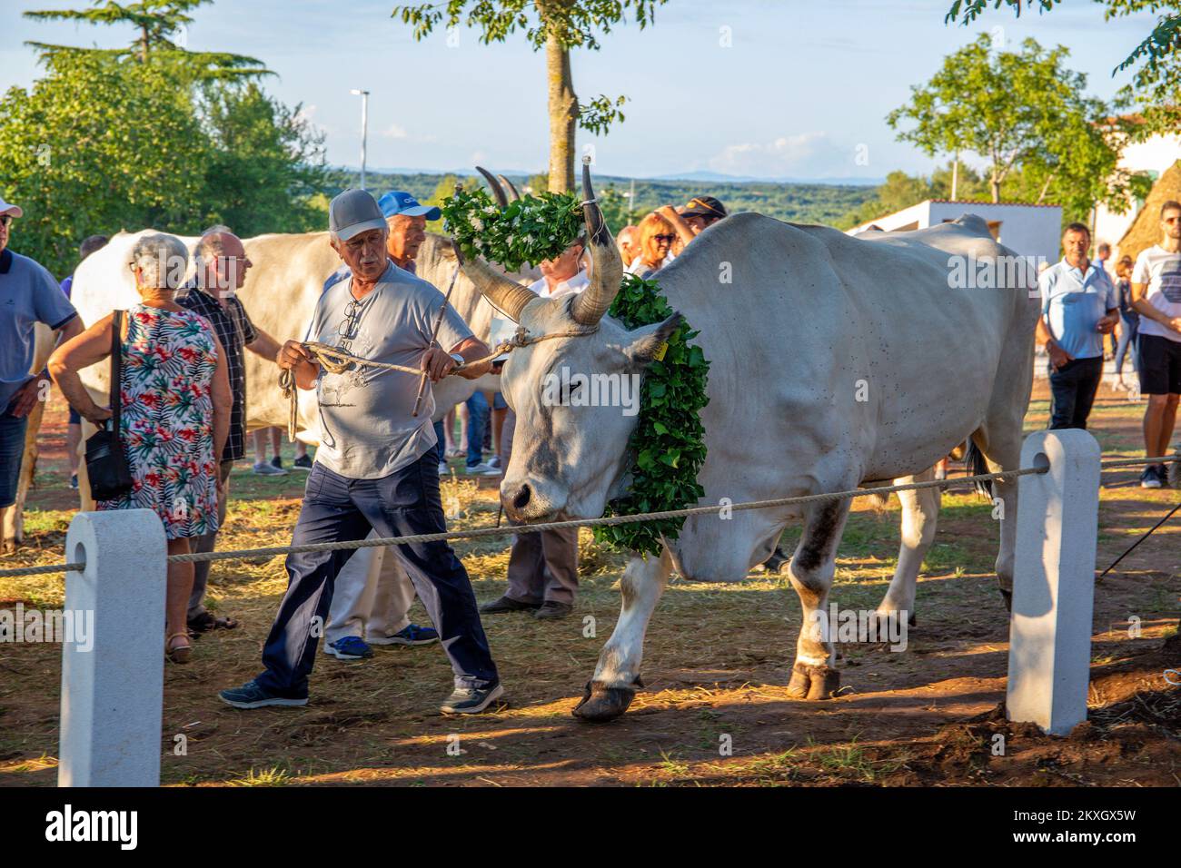 Mario gasparini hi-res stock photography and images - Alamy