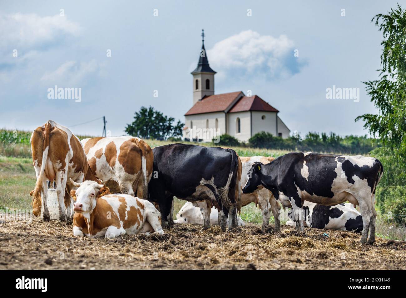 Blazekovic hi-res stock photography and images - Alamy