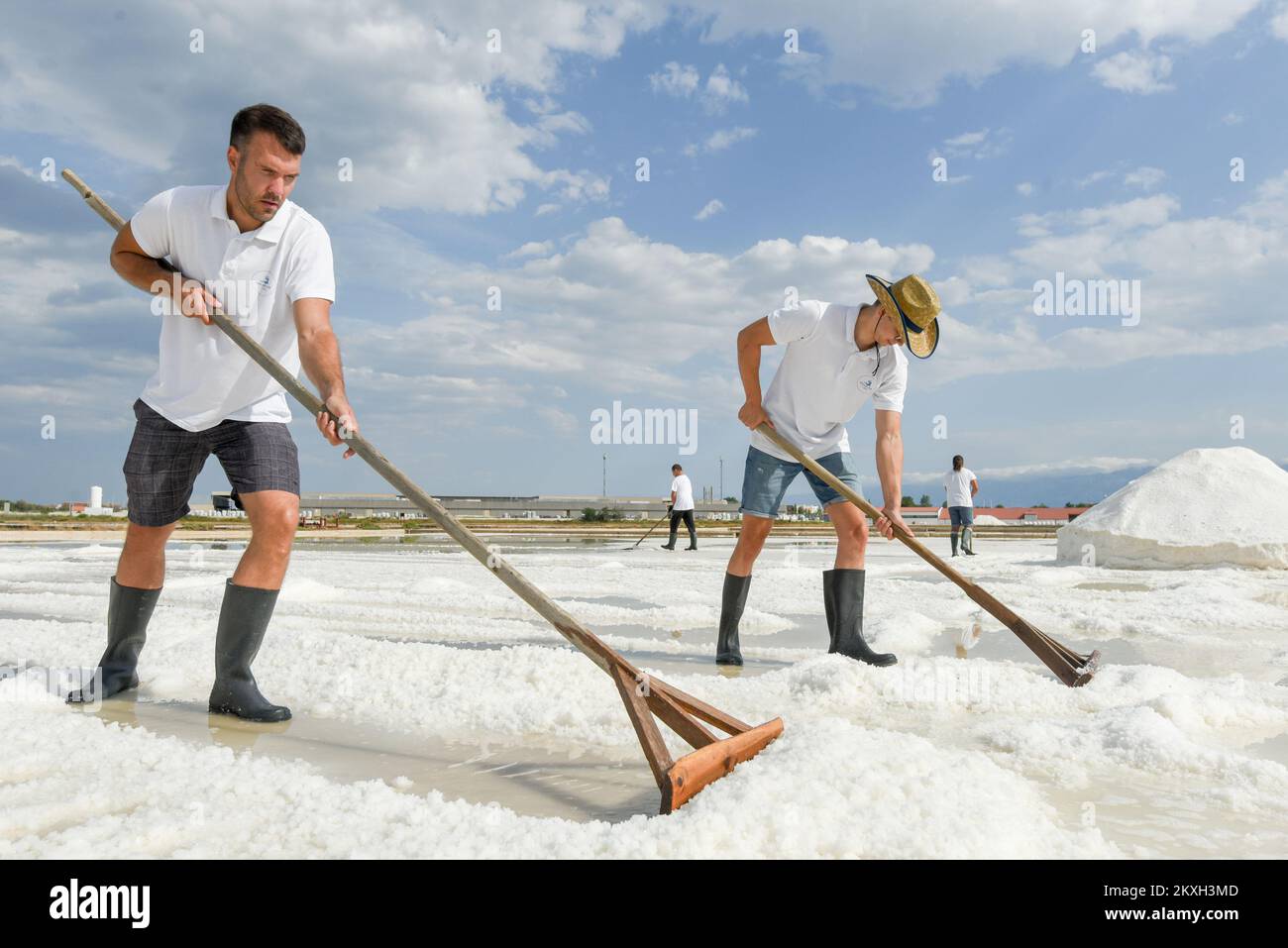 Salt harvesting at the Nin Saltworks. The natural Nin salt is a gift of ...