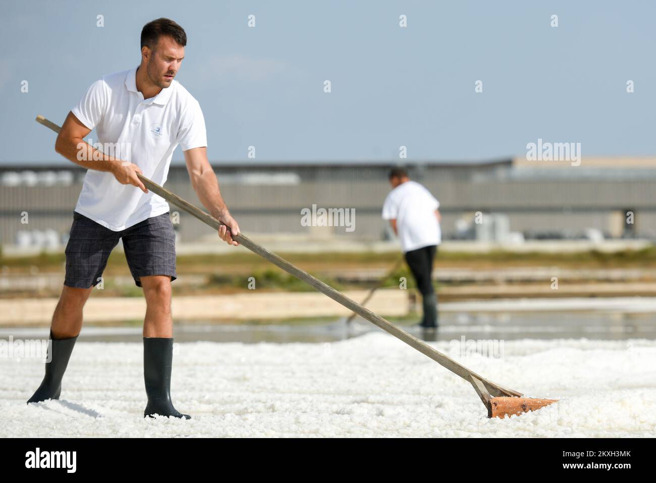 Salt harvesting at the Nin Saltworks. The natural Nin salt is a gift of ...