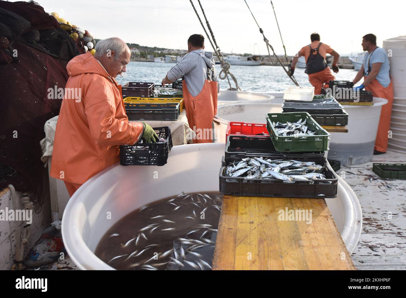 Fishermen unload their catch after a night fishing trip in the ...