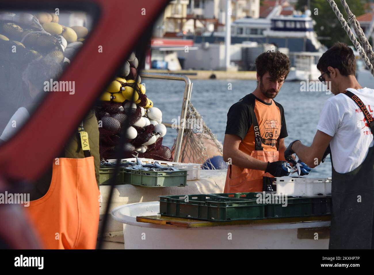 Fishermen unload their catch after a night fishing trip in the ...
