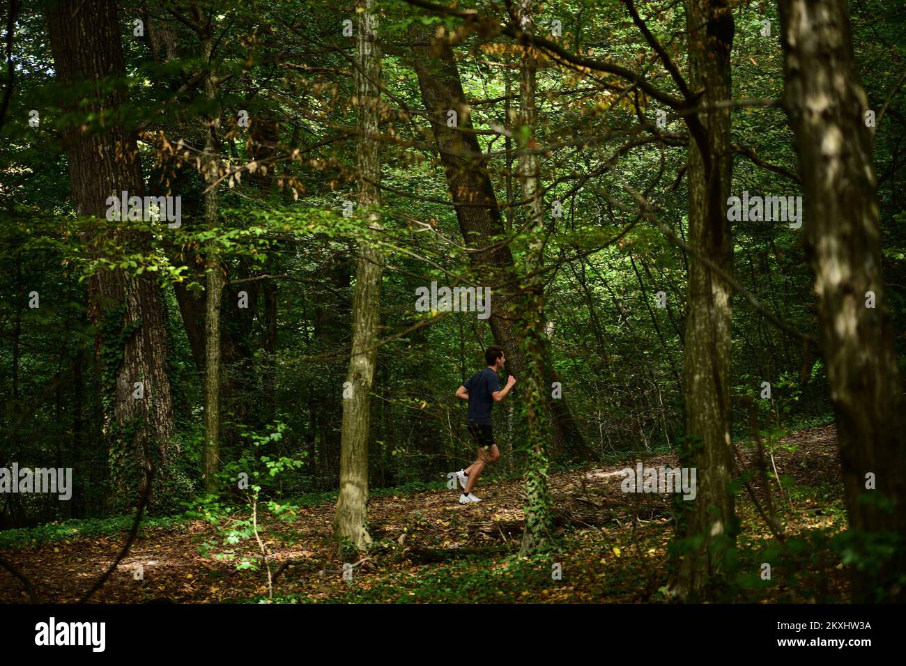 The colors of autumn in the Maksimir park, in Zagreb, Croatia, on Sep ...