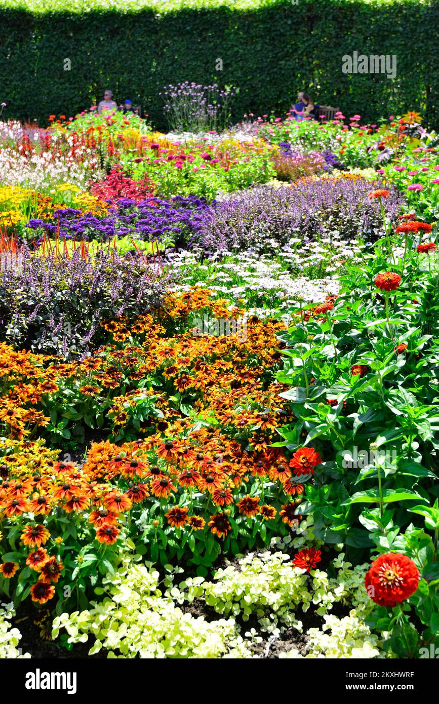 Beautiful and colorful annual flower garden, Grugapark Germany Stock ...