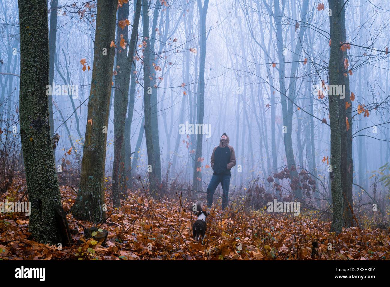 Horror scene mystical landscape fear hi-res stock photography and ...
