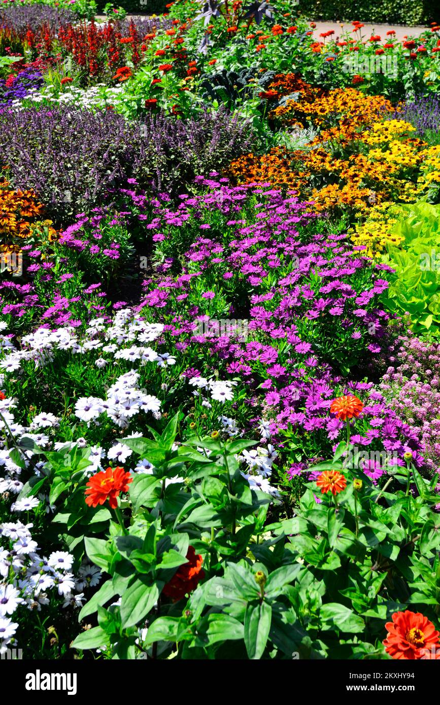 Beautiful and colorful annual flower garden, Grugapark Germany Stock ...