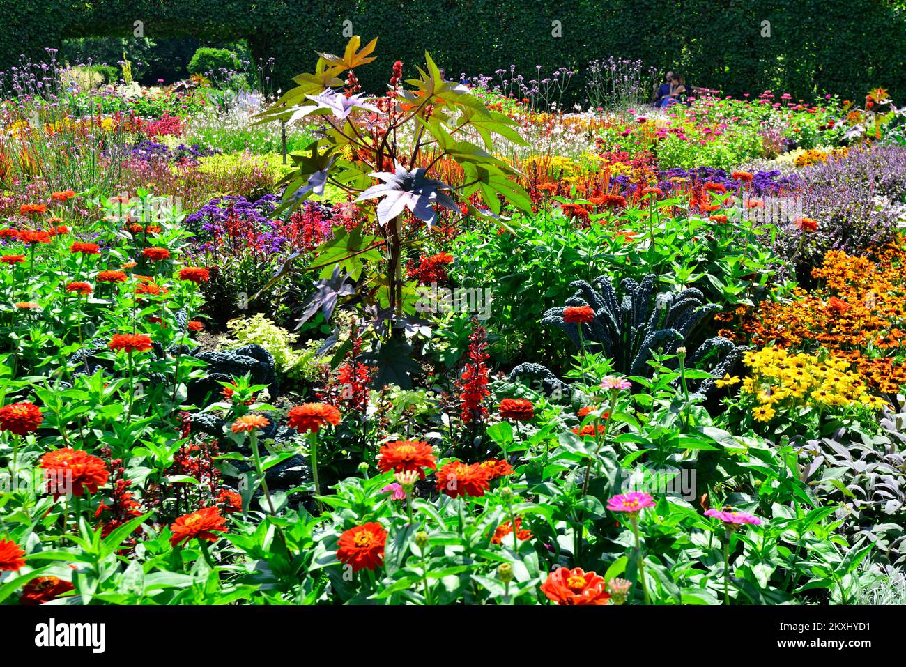 Beautiful and colorful annual flower garden, Grugapark Germany Stock ...