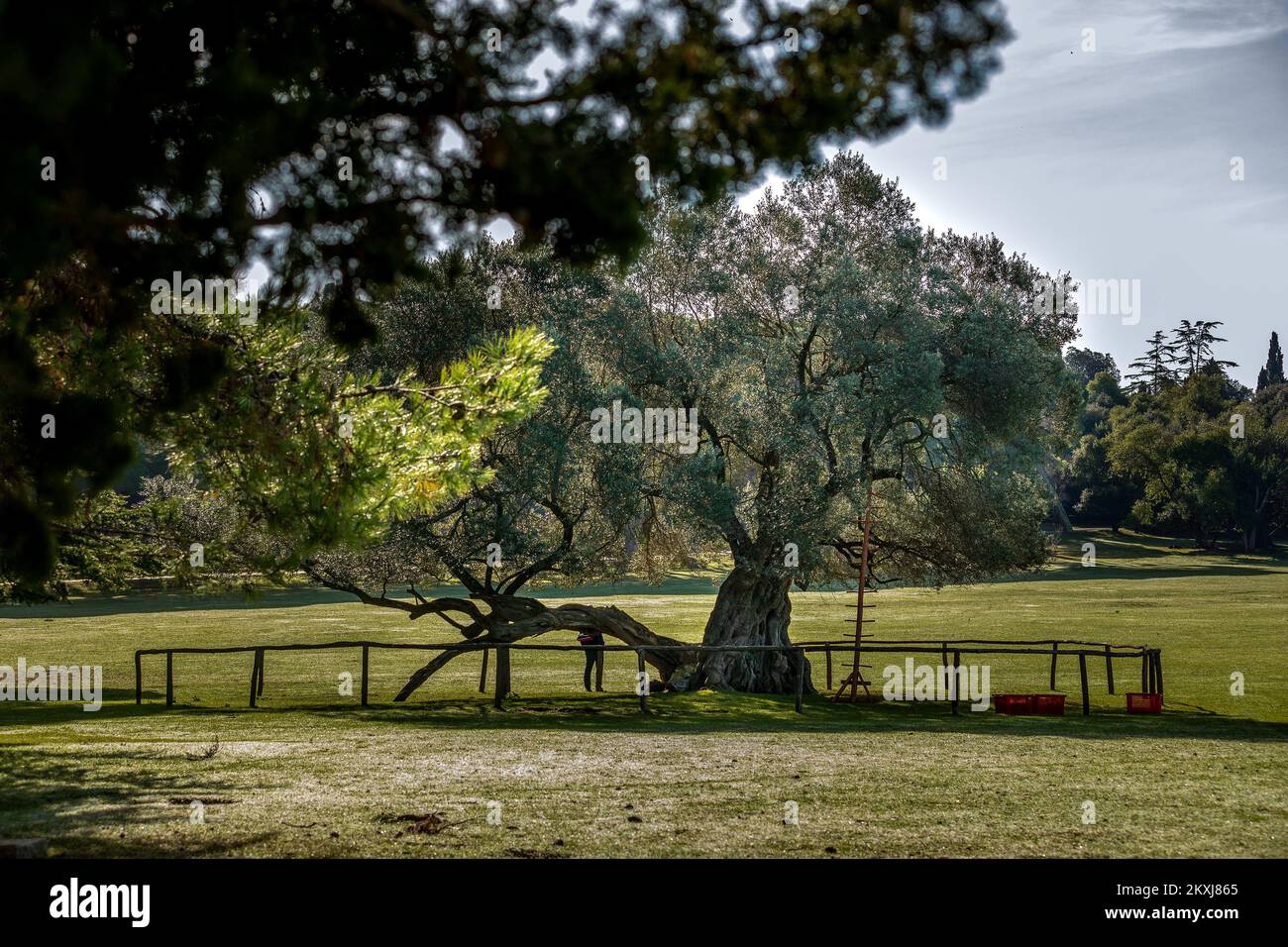 1600 years old hi-res stock photography and images - Alamy