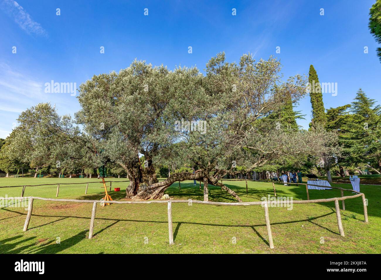 1600 years old hi-res stock photography and images - Alamy