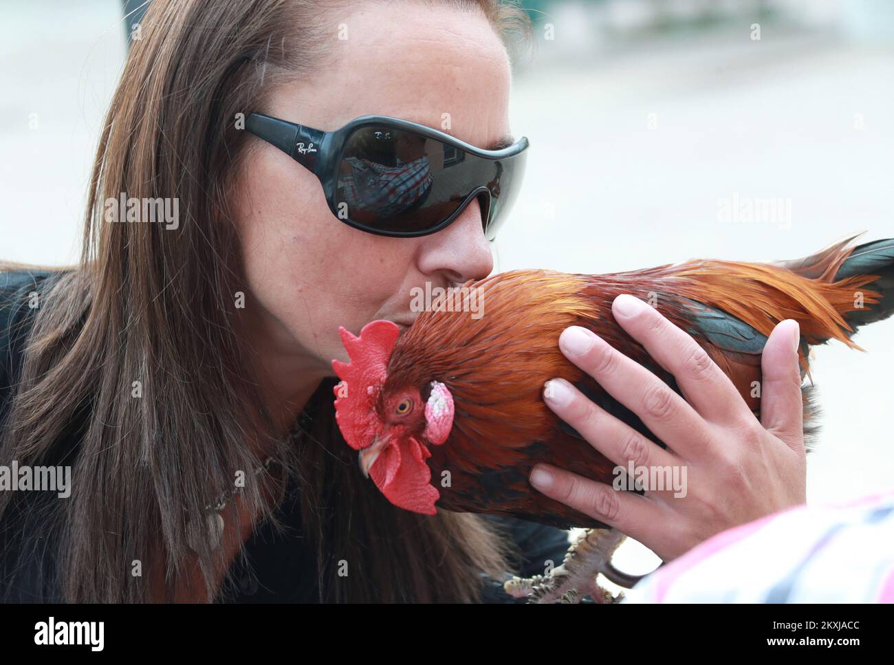 A sympathetic couple went out for a drink in city center with their pet ...
