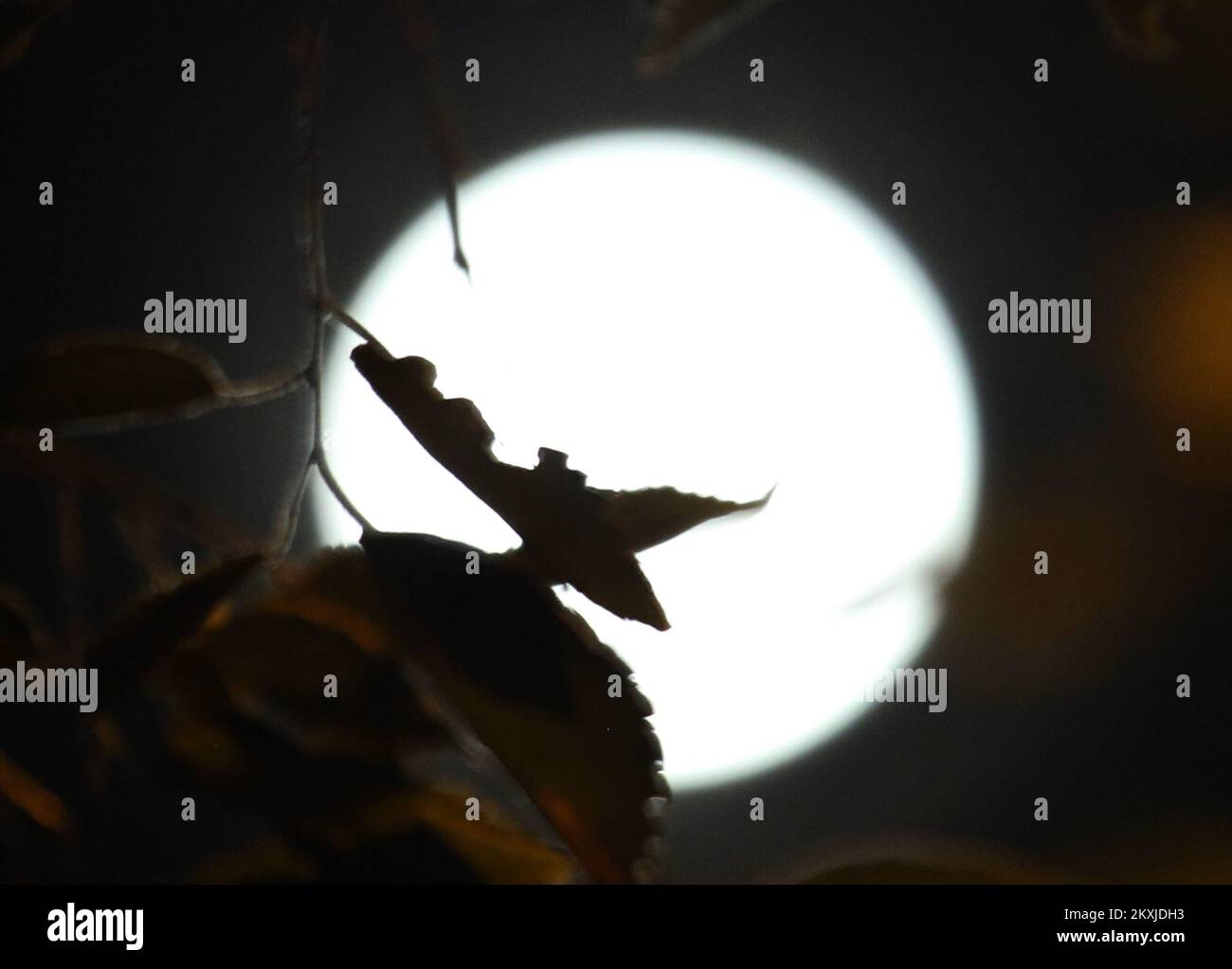 Photo taken on October 31, 2022 shows "blue moon" over Sibenik, Croatia ...