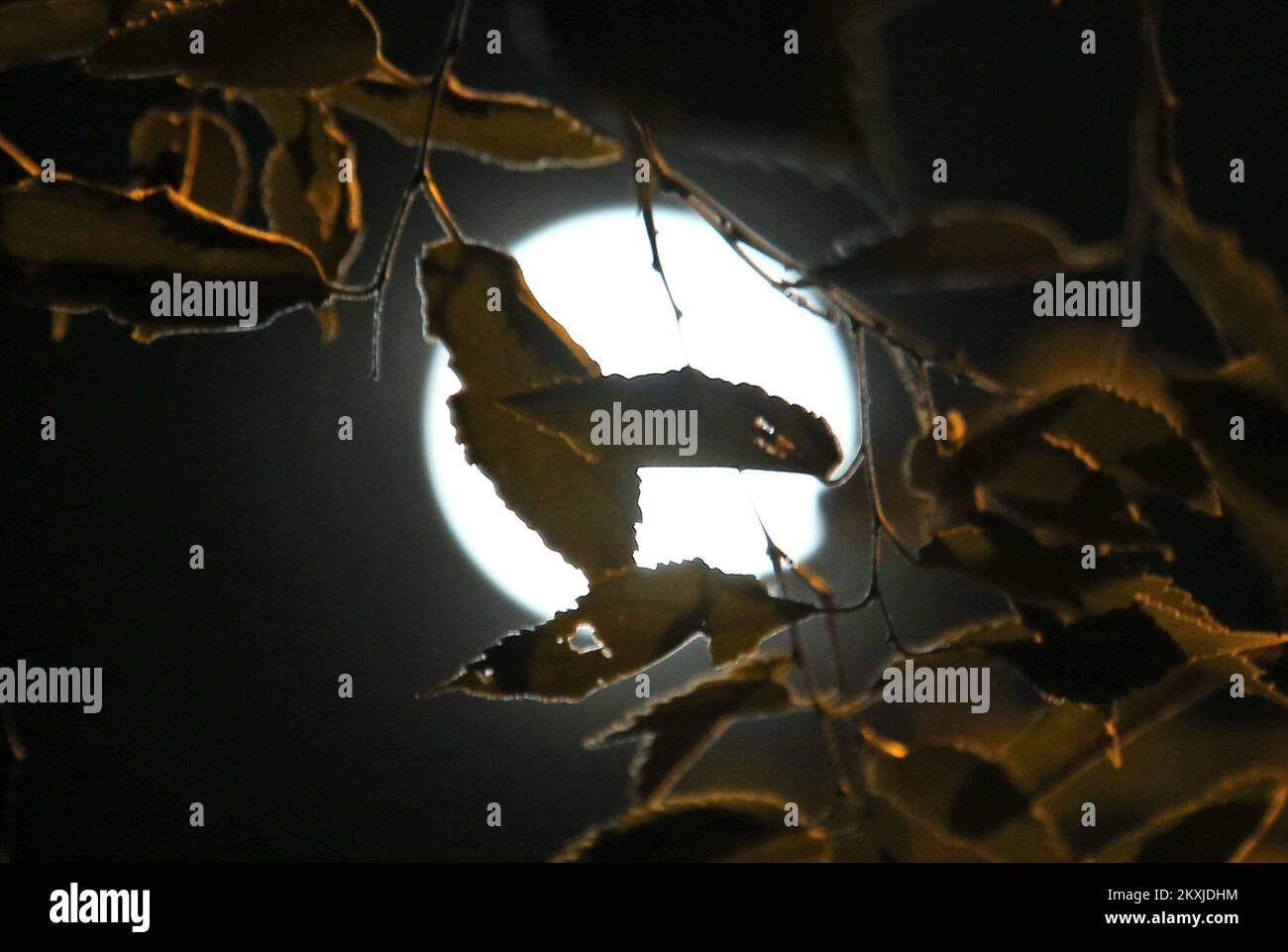 Photo taken on October 31, 2022 shows "blue moon" over Sibenik, Croatia ...