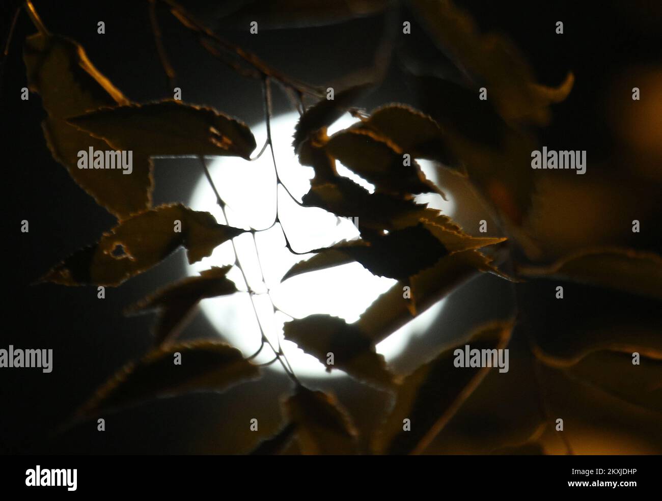 October moon calendar hi-res stock photography and images - Alamy