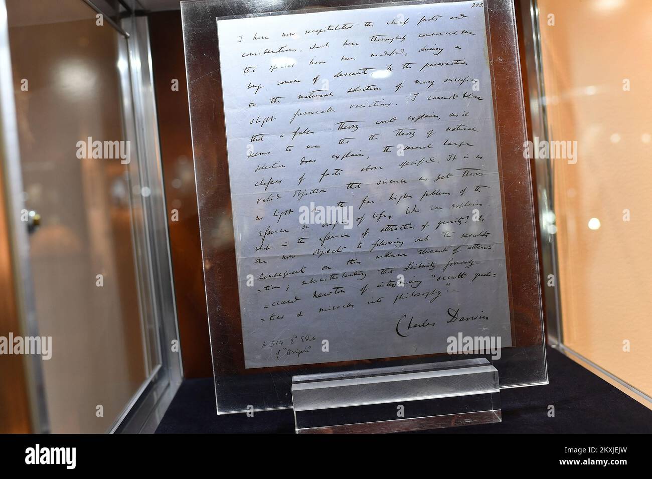 Charles Darwin autograph on a manuscript excerpt from On the Origin of ...