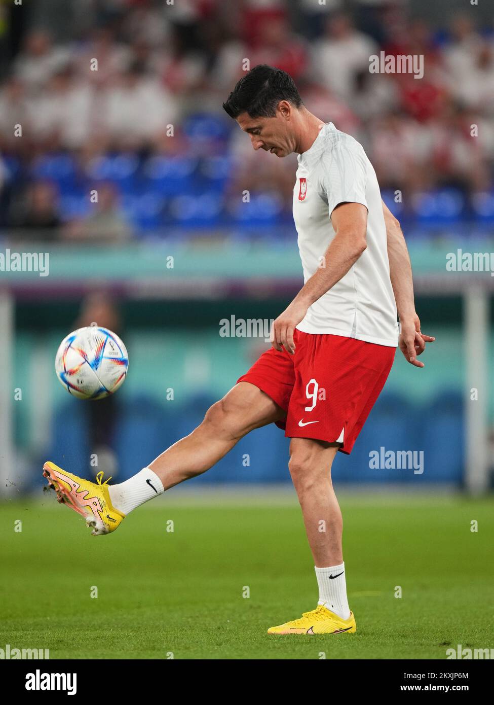Robert Lewandowski of Poland during the FIFA World Cup, Qatar. , . in ...